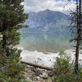 Phelps Lake, Lake Creek, and Woodland Loop, Wyoming - 2,798 Reviews ...