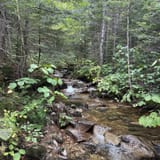Square Ledge via Oliverian Brook Trail, New Hampshire - 135 Reviews ...