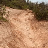 Cerro Mauco, Valparaíso, Chile - 90 Reviews, Map | AllTrails