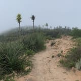 Cerro Mauco, Valparaíso, Chile - 90 Reviews, Map | AllTrails