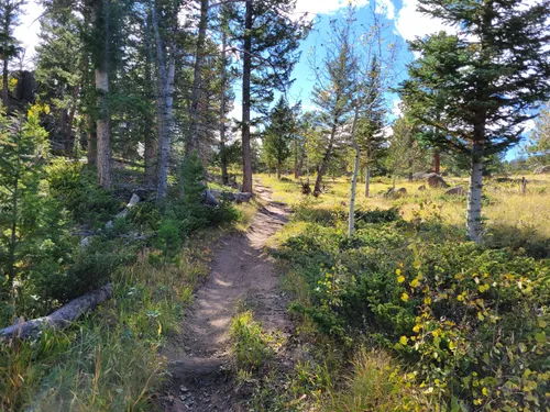 Best Easy Trails in Red Feather Lakes | AllTrails