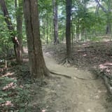 Cherokee Park Loop, Kentucky - 1,649 Reviews, Map | AllTrails
