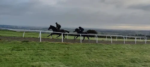 Best Hikes and Trails in Middleham Gallops | AllTrails