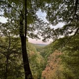 Gorge Trail Loop, New York - 536 Reviews, Map | AllTrails