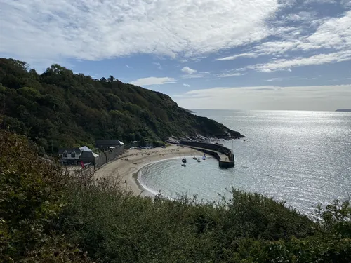 2023 Best Forest Trails in Par | AllTrails