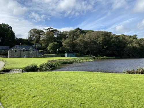 2023 Best Forest Trails in Par | AllTrails