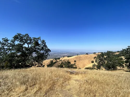 10 Best Trails and Hikes in Mount Hamilton | AllTrails