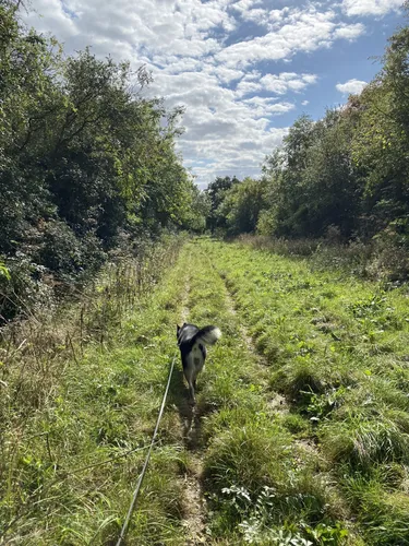 Best Hikes and Trails in Odell Great Wood | AllTrails