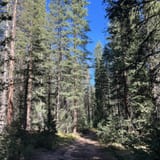 Raspberry Mountain Trail via Ring the Peak Trail, Colorado - 1,750 ...