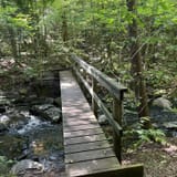 The Long Trail, Vermont - 189 Reviews, Map | AllTrails