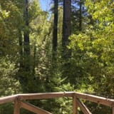 Pine Ridge and Post Creek Trail, California - 366 Reviews, Map | AllTrails