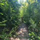 Pine Ridge and Post Creek Trail, California - 366 Reviews, Map | AllTrails