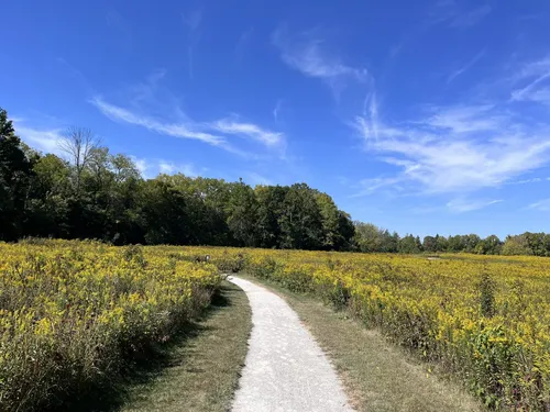 2023 Best Wild Flowers Trails in Bill Yeck Park | AllTrails