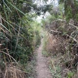 Forrestal Preserve Loop, California - 1,283 Reviews, Map | AllTrails