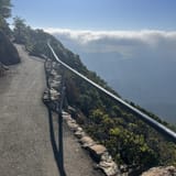 Verna Dunshee Trail and Plank Trail at Mount Tam East Peak, California ...