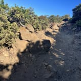 Verna Dunshee Trail and Plank Trail at Mount Tam East Peak, California ...