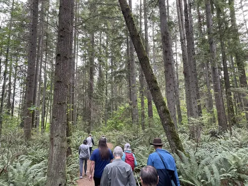 2023 Best Views Trails in Redmond Watershed Preserve | AllTrails