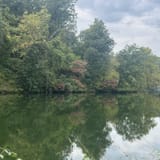 Lake Atalanta Loop, Arkansas - 619 Reviews, Map | AllTrails