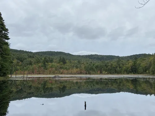 2023 Best River Trails in Epsom | AllTrails