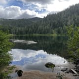 Deer Lake Trail, Washington - 793 Reviews, Map | AllTrails
