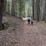 Potato Field and Maple Grove Trail Loop, New York - 366 Reviews, Map ...