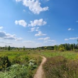 Puslinch Lake Loop, Ontario, Canada - 684 Reviews, Map | AllTrails