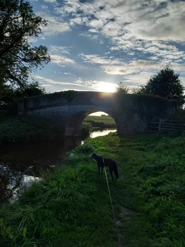 Best Hikes and Trails in Fenns, Whixall, Bettisfield Mosses National ...
