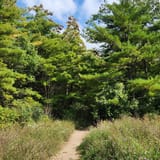 Puslinch Lake Loop, Ontario, Canada - 684 Reviews, Map | AllTrails