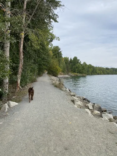 2023 Best Beach Trails in Sandpoint | AllTrails