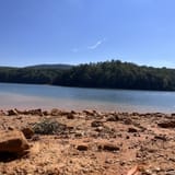 Lake Blue Ridge Loop , Georgia - 771 Reviews, Map | AllTrails