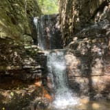 Devil's Racetrack Trail, Tennessee - 570 Reviews, Map | AllTrails
