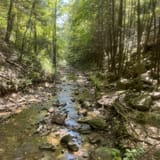 Devil's Racetrack Trail, Tennessee - 570 Reviews, Map | AllTrails