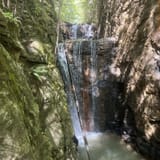 Devil's Racetrack Trail, Tennessee - 570 Reviews, Map | AllTrails