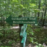 Devil's Racetrack Trail, Tennessee - 566 Reviews, Map | AllTrails