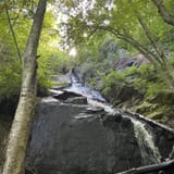 Coon Den Falls via Appalachian Trail, Tennessee - 335 Reviews, Map ...