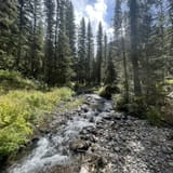 Blaine Basin, Colorado - 301 Reviews, Map | AllTrails