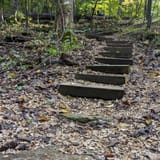 Pigeon Roost Trail, Arkansas - 1,048 Reviews, Map | AllTrails