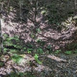 Pigeon Roost Trail, Arkansas - 1,055 Reviews, Map | AllTrails