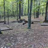 Pigeon Roost Trail, Arkansas - 1,055 Reviews, Map | AllTrails