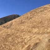 Goodspeed-Nattkemper Trail to Mount Hood Peak and Gunsight Lookout ...