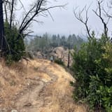 Goodspeed-Nattkemper Trail to Mount Hood Peak and Gunsight Lookout ...