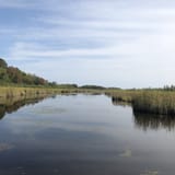 Mer Bleue Bog Trail, Ontario, Canada - 486 Reviews, Map | AllTrails