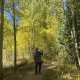 Blue River Trail, Colorado - 1,294 Reviews, Map | AllTrails