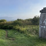 The Long Trail, Vermont - 179 Reviews, Map | AllTrails