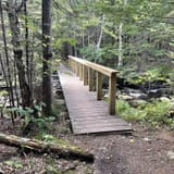 The Long Trail, Vermont - 195 Reviews, Map | AllTrails