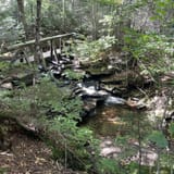 The Long Trail, Vermont - 195 Reviews, Map | AllTrails