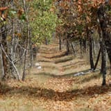 Hot Springs Sunset Trail Full Circle, Arkansas - 369 Reviews, Map ...
