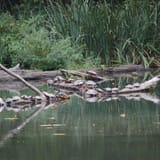 Hot Springs Sunset Trail Full Circle, Arkansas - 369 Reviews, Map ...