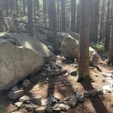 The Long Trail, Vermont - 179 Reviews, Map | AllTrails