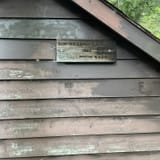 The Long Trail, Vermont - 187 Reviews, Map | AllTrails